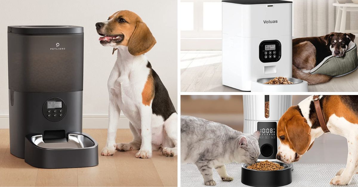 Say Goodbye To Hungry Pets With These Amazing Auto-Feeders!