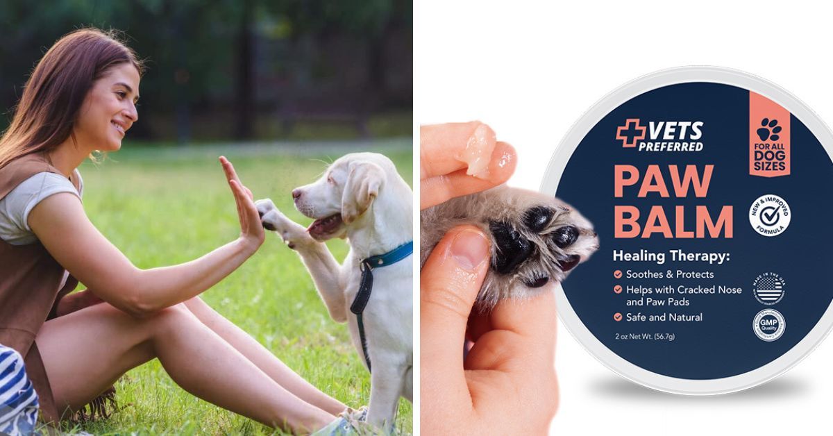 Puppy Getting Crusty? Here Are The 5 Best Dog Paw Balms!