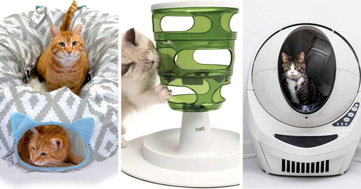 25 Purrfectly Unique Amazon Finds For Cat Lovers!