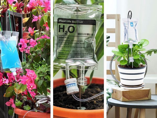 Never Kill A Plant Again With These 5 Life Support Self-Waterers!
