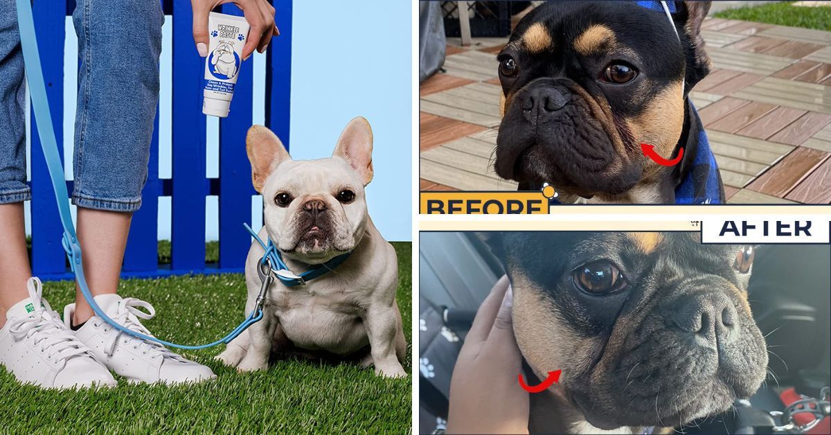Wrinkle No More! Discover The Secret Formula For A Smooth Pup!