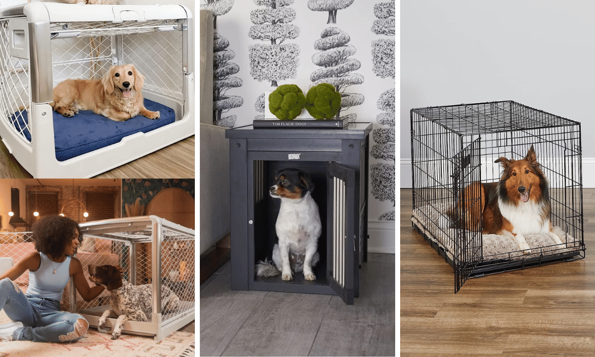 Why Every Dog Lover Needs At Least One Of These Best Indoor Dog Kennels!