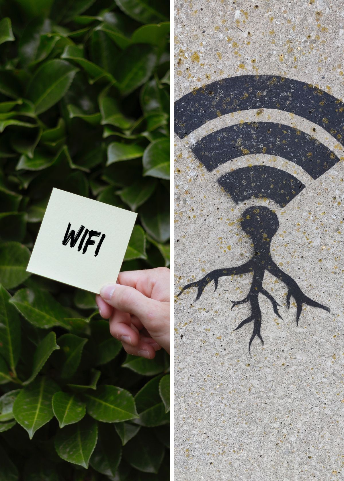 Discover The Benefits of Outdoor Wifi Extenders for Maximum Connectivity!