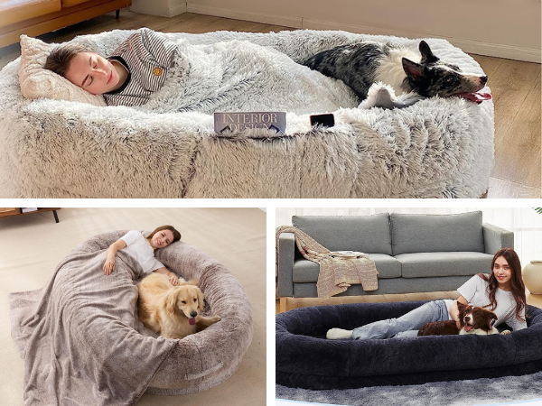 The Guide To The 5 Best Human Dog Beds Available On Amazon!