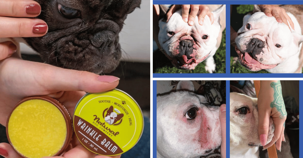Wrinkle No More! Discover The Secret Formula For A Smooth Pup!