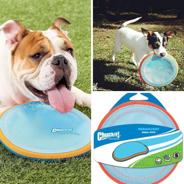 Guide To Choose the Best Dog Frisbee For Your Pet!